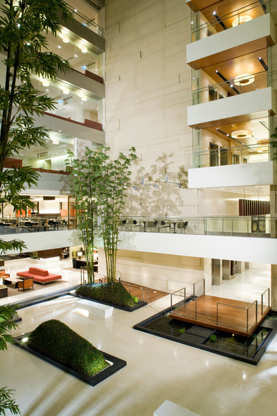 Healthcare Design: Nurturing Wellness in Hospitals
